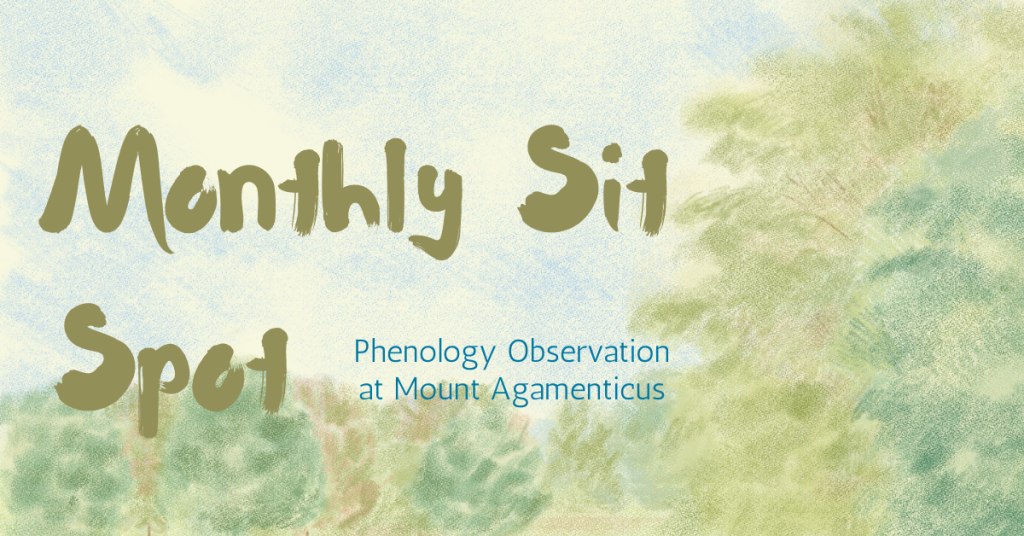 Agamenticus.org – The Mount Agamenticus Conservation Program ...